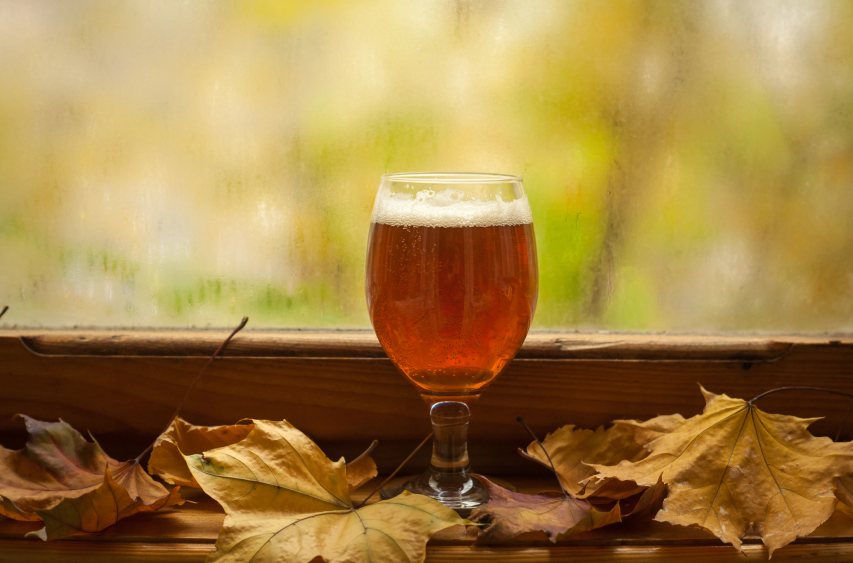 Fall Beers to Try Now